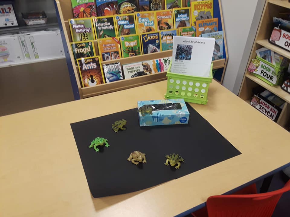 Safari Classroom Transformation! - Lovely In Lavender Teacher